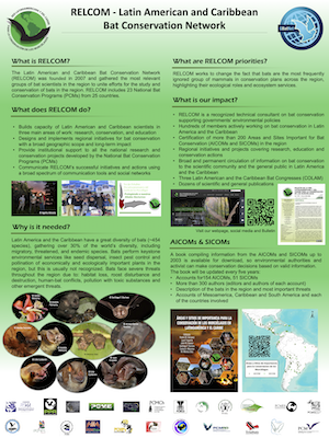 Networks – GBatNet