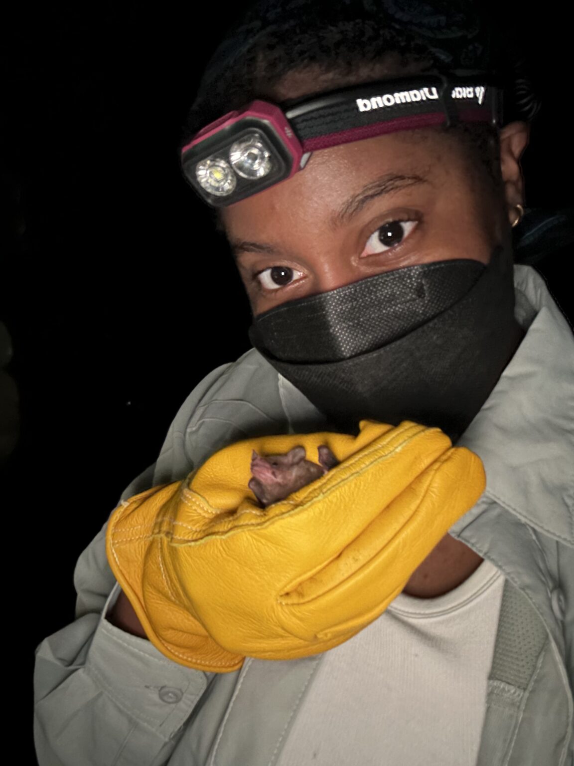 Events for February 2026 – GBatNet